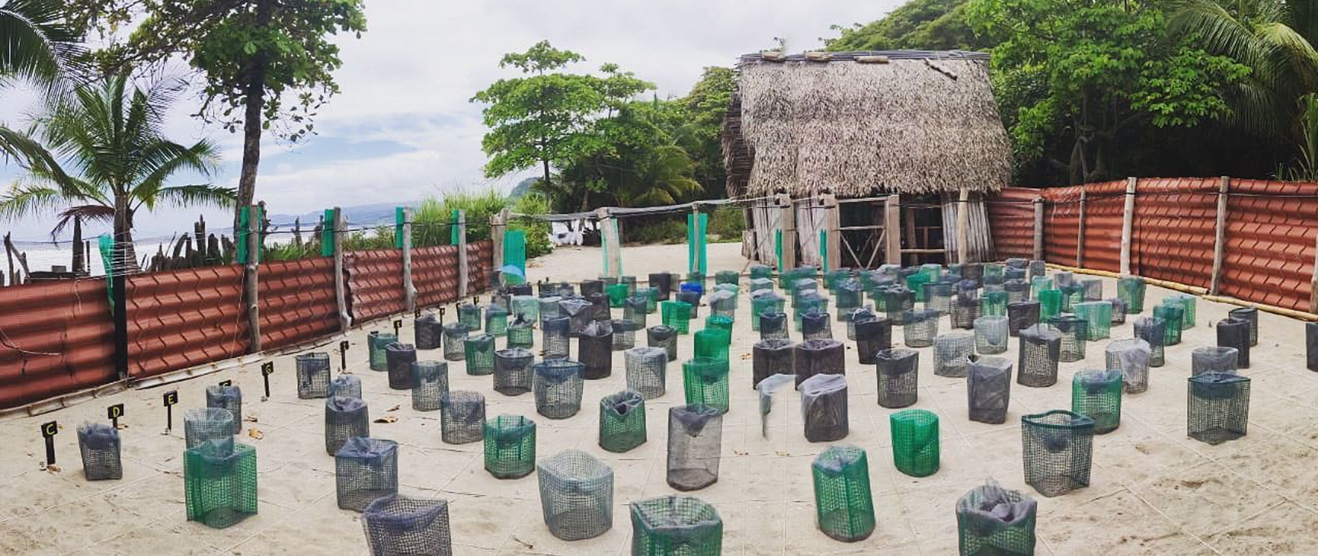 Conservando el Legado Natural de Costa Rica: La Historia de ...